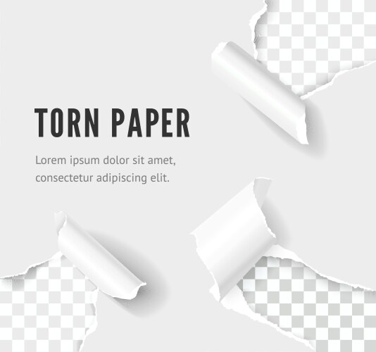 Torn paper with ripped edges realistic Royalty Free Vector