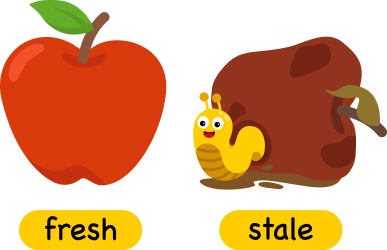 Clipart Opposite Picture Opposite Words In English | Easy Way To Learn