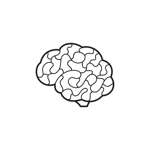 Outline human brain on white Royalty Free Vector Image