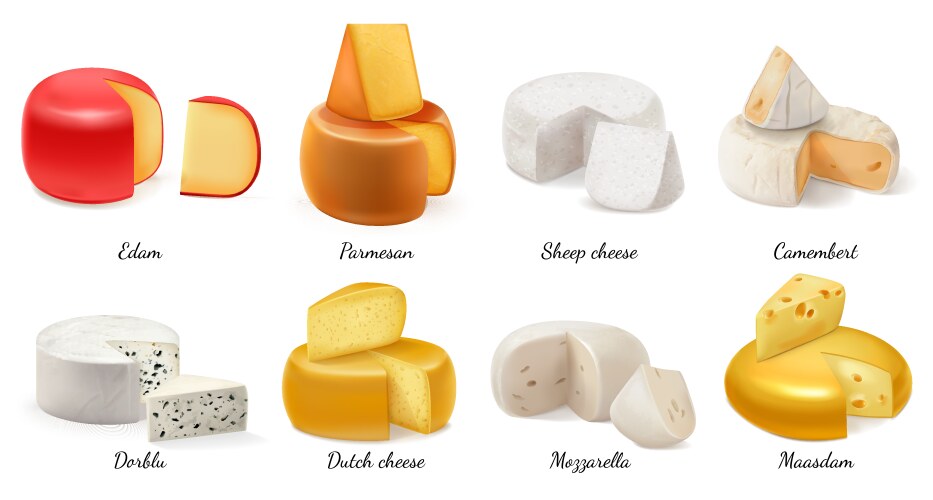 Cheese types icons set Royalty Free Vector Image