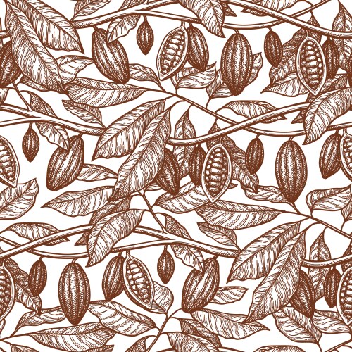 Cocoa packages pattern Royalty Free Vector Image