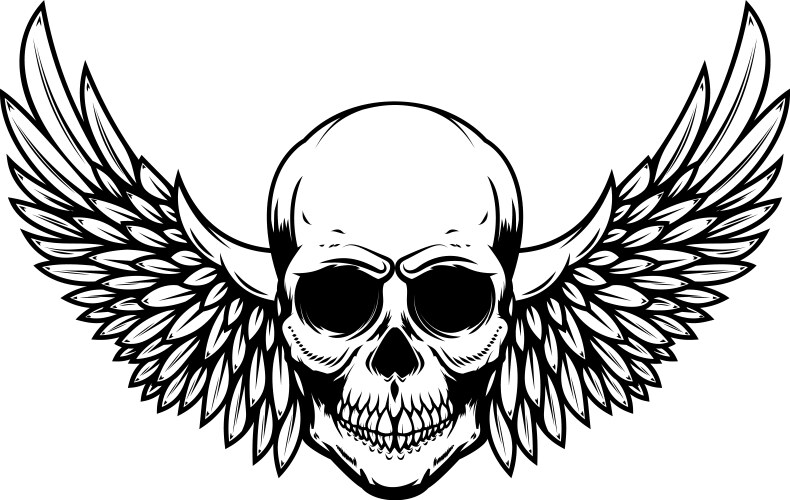 Winged skull design element for emblem sign Vector Image