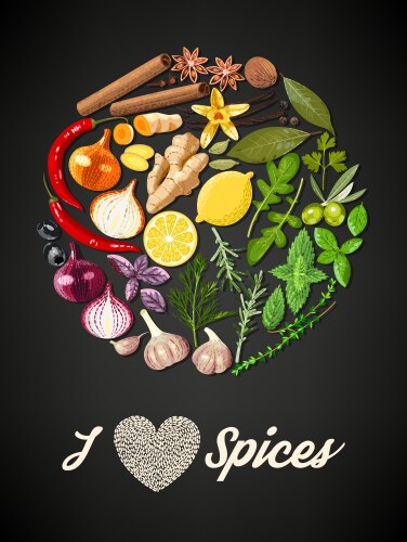 Circle Spice Vector Images (over 3,000)