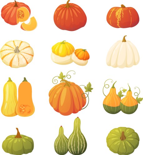 Cartoon pumpkin different shapes and sizes Vector Image