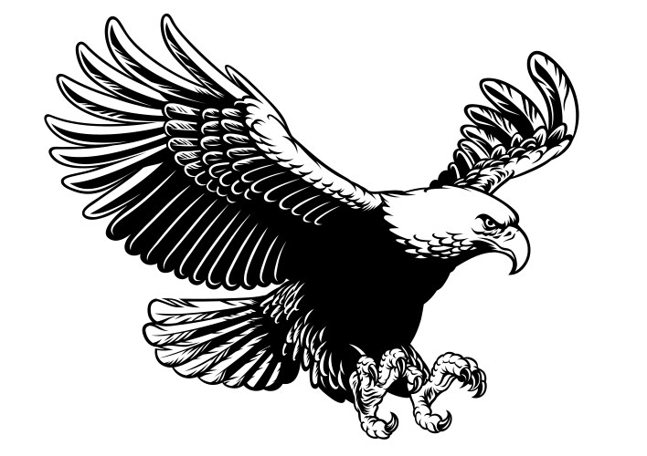 Flying Eagle Vector Images (over 45,000)