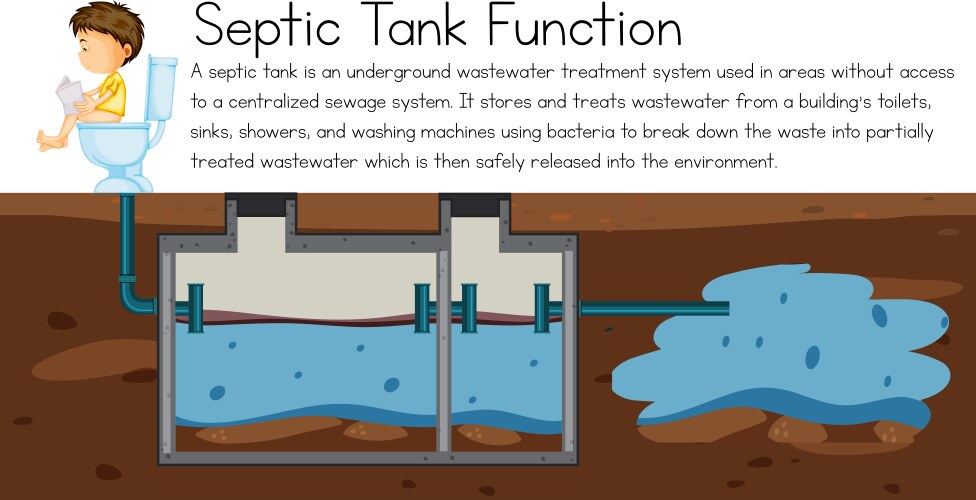 Septic tank diagram system Royalty Free Vector Image