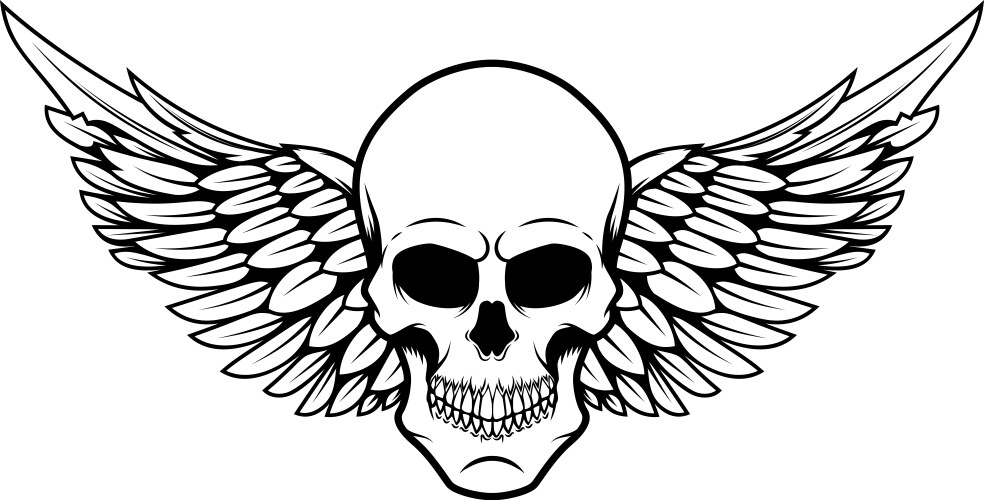 Winged skull design element for emblem sign Vector Image