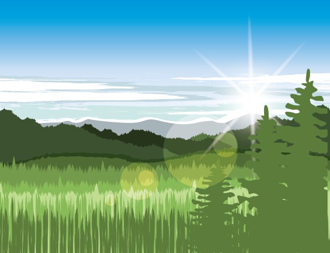 Summer landscape Royalty Free Vector Image - VectorStock