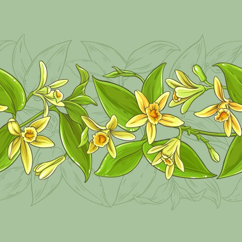 Vanilla set Royalty Free Vector Image - VectorStock