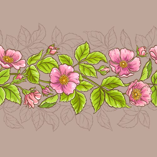 Wild rose pattern Royalty Free Vector Image - VectorStock