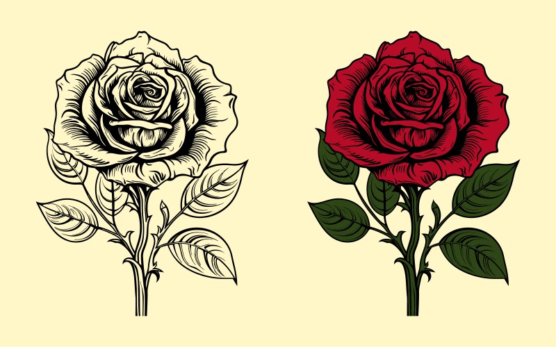 Rose Tattoo Stencil Vector Images (over 800)