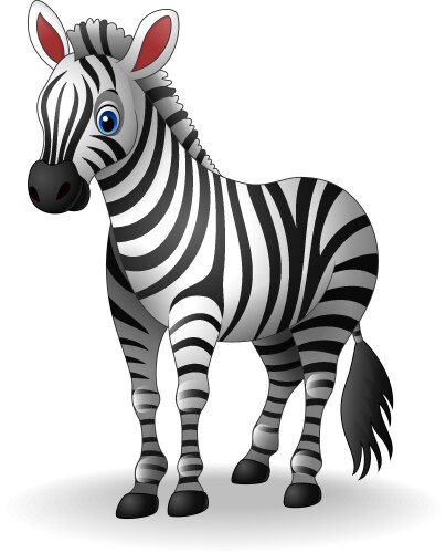 Zebra Cartoon Vector Images (over 14,000)