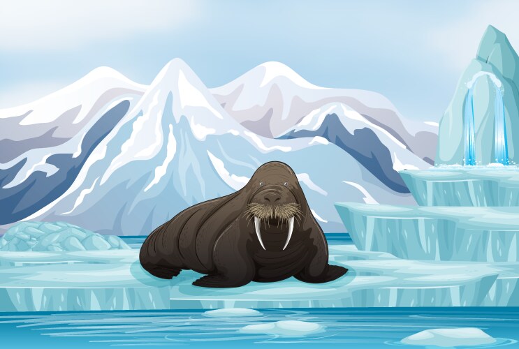 Cartoon nature winter arctic ice landscape Vector Image