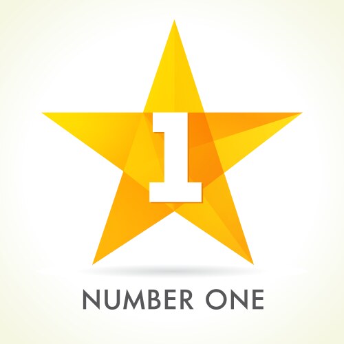 Color star logo icon design Royalty Free Vector Image