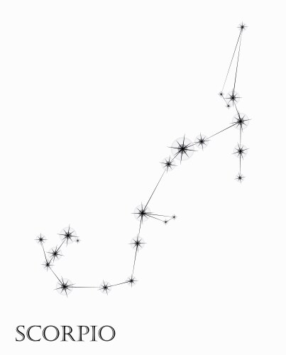 Scorpio constellation horoscope zodiac sign Vector Image