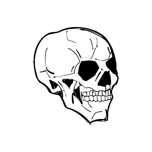 Skull frame skeleton head background texture Vector Image