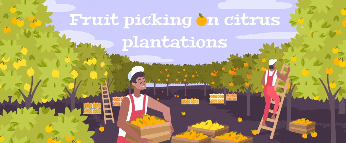 Citrus Vector Images (over 95,000)