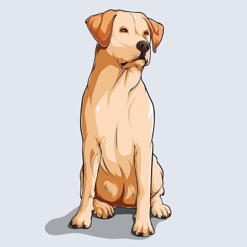 Labrador Vector Images (over 12,000)