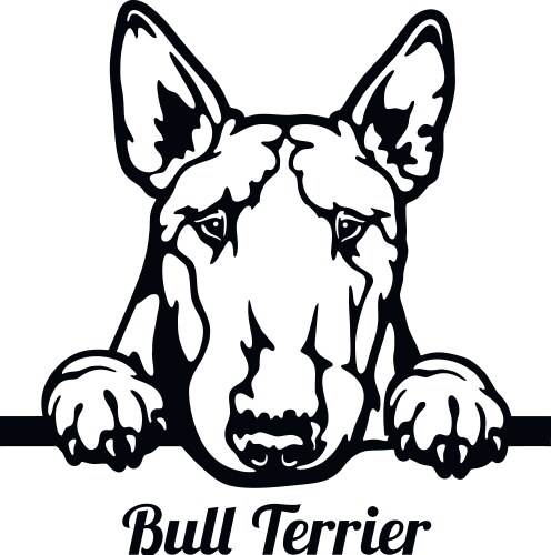 Bull terrier Royalty Free Vector Image - VectorStock