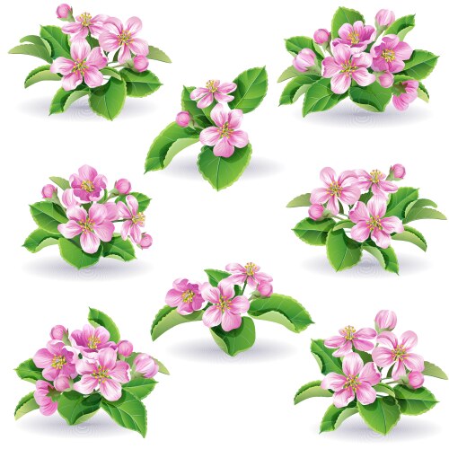 Flowering Plants Vector Images (over 840,000)
