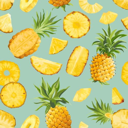Pineapples and tropical flowers geometry pattern Vector Image