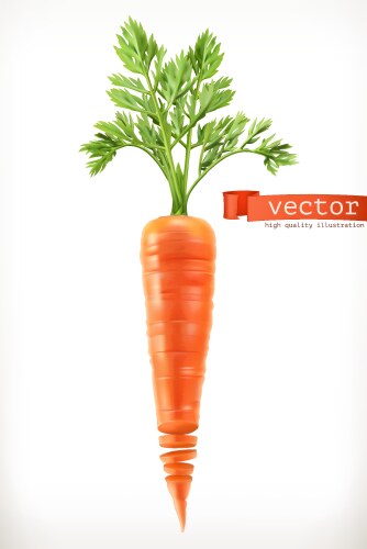Carrot root vegetable cartoon Royalty Free Vector Image