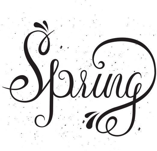 Spring hand lettering Royalty Free Vector Image