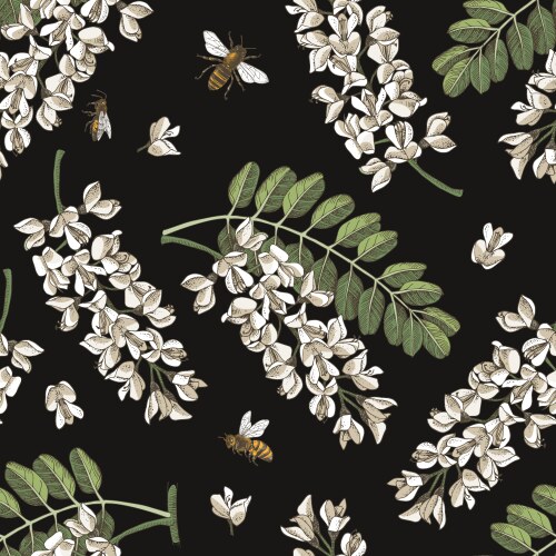 Seamless pattern with blooming acacia Royalty Free Vector