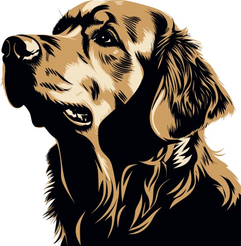Golden Labrador Vector Images (over 1,700)