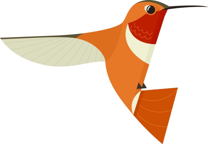 Humming Bird Vector Images (over 3,700)