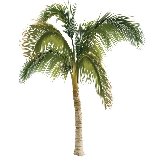 Free Palm Tree Vector Images (over 3,100)