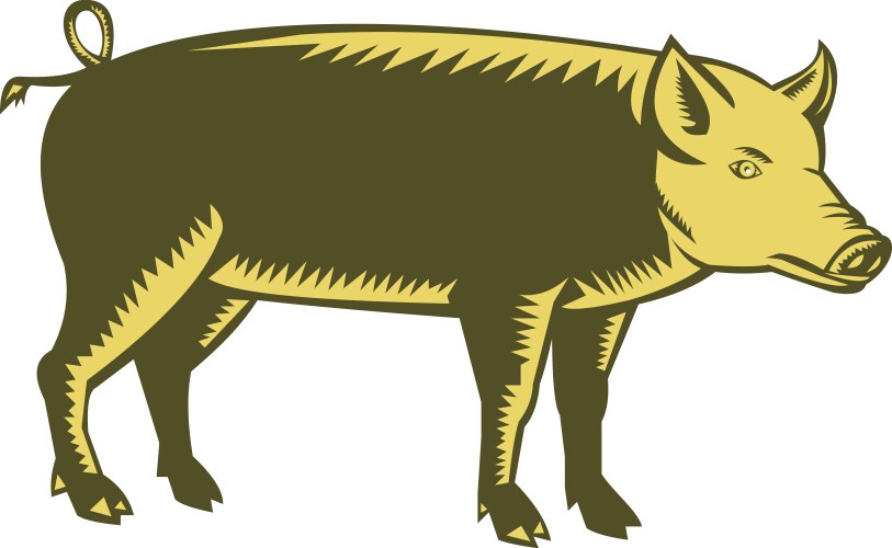 Pig side view Vector Images & Graphics for Commercial Use | VectorStock