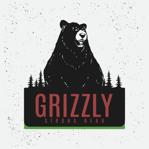 Bear screen print style Royalty Free Vector Image
