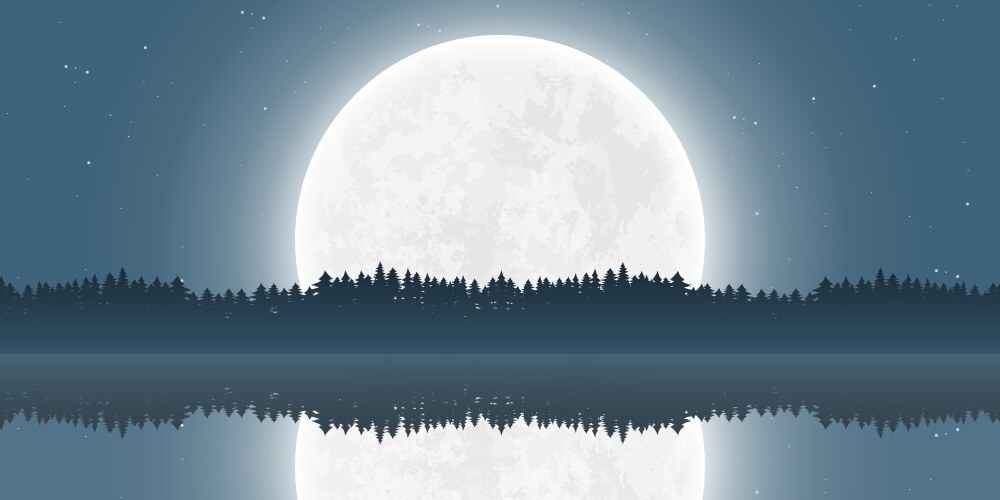 Realistic full moon and star midnight background Vector Image