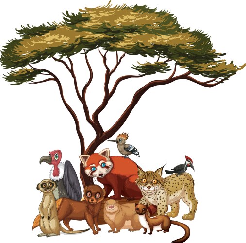 Animal Royalty Free Vector Image - VectorStock