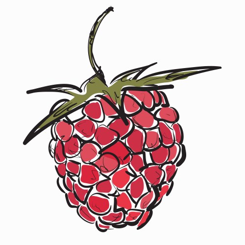 Raspberry Vector Images (over 31,000)