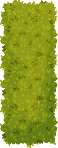 Aerial view a green bush isolated on white Vector Image