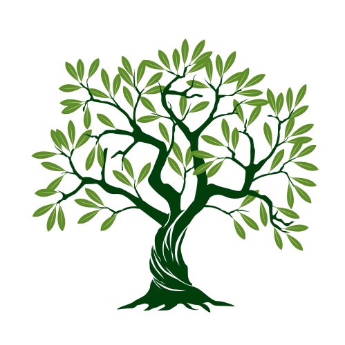 Olive Tree Drawing Vector Images (over 4,500)