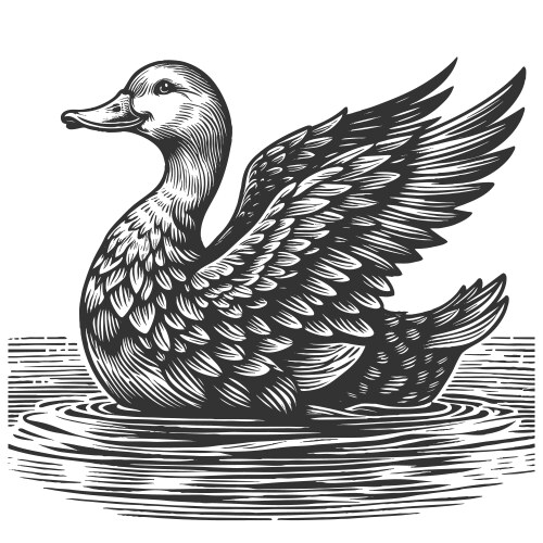 Floating Water Duck Vector Images (over 2,500)