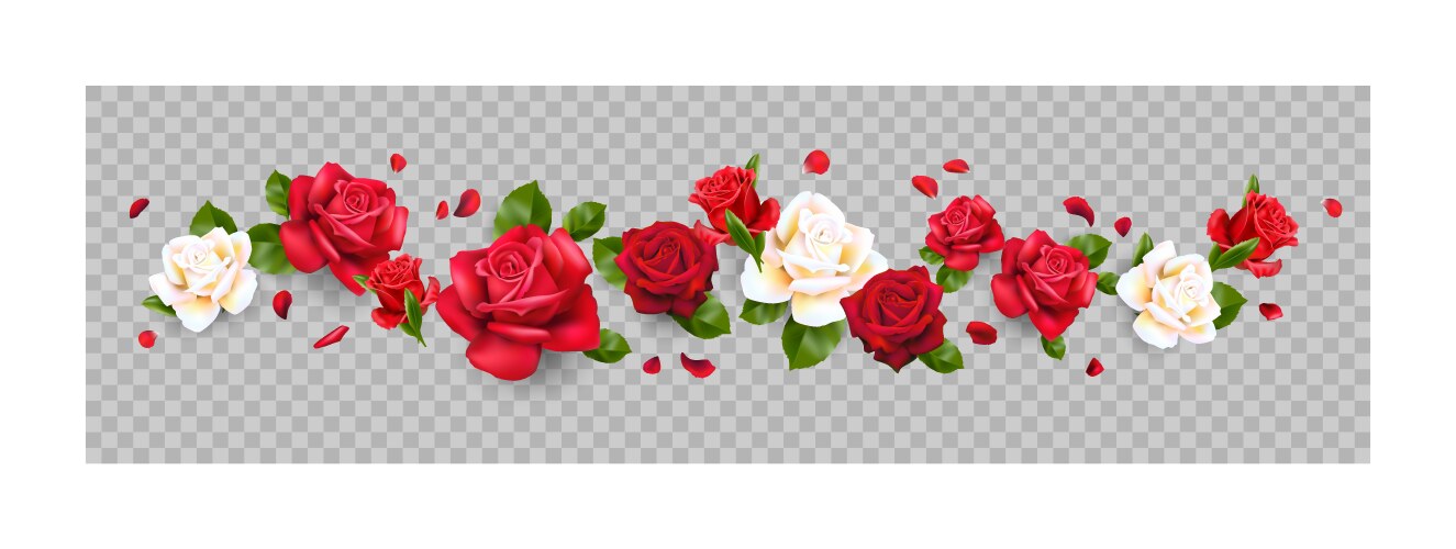 Red roses b Royalty Free Vector Image - VectorStock