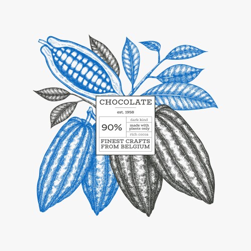 Cocoa frame superfood drawing template Royalty Free Vector