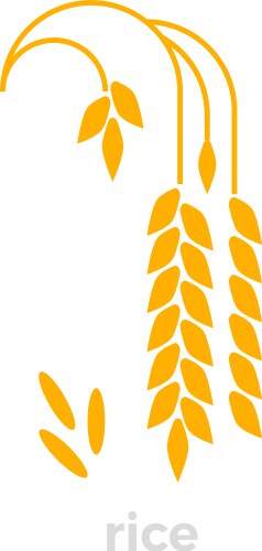 Rice Vector Images (over 90,000)