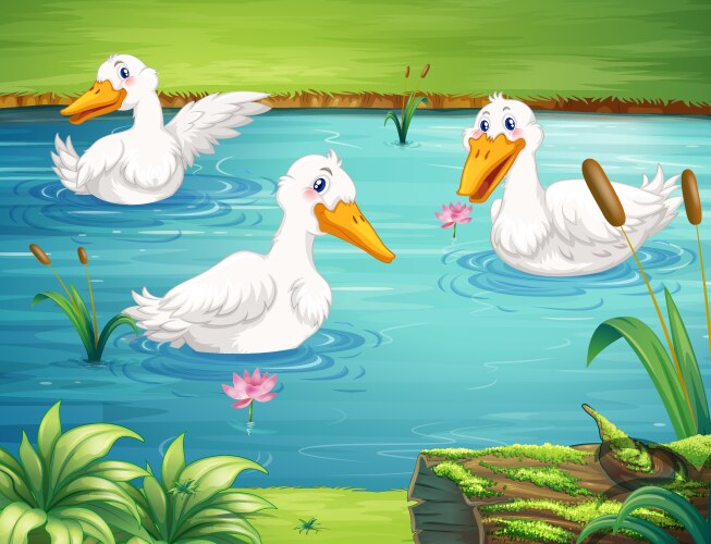 Duck family cartoon swimming Royalty Free Vector Image