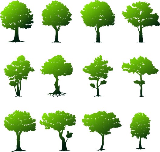 Cartoon trees set Royalty Free Vector Image - VectorStock