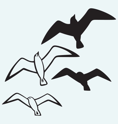 Seagulls icons Royalty Free Vector Image - VectorStock