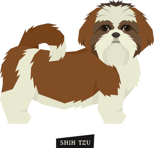 Shih tzu - for t-shirt logo Royalty Free Vector Image