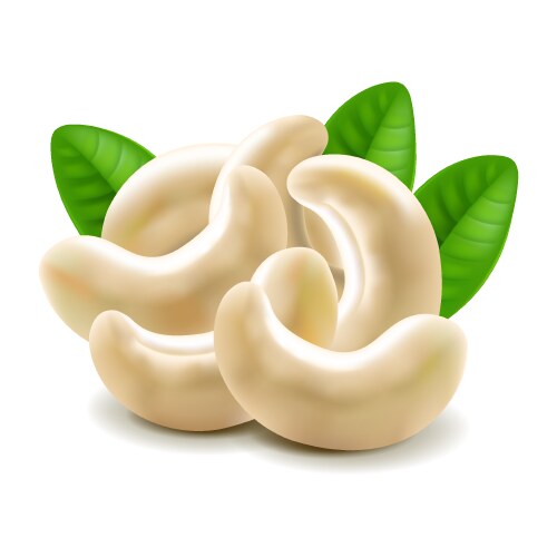 Nuts set Royalty Free Vector Image - VectorStock