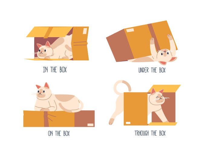 Cat Under Box Vector Images (54)