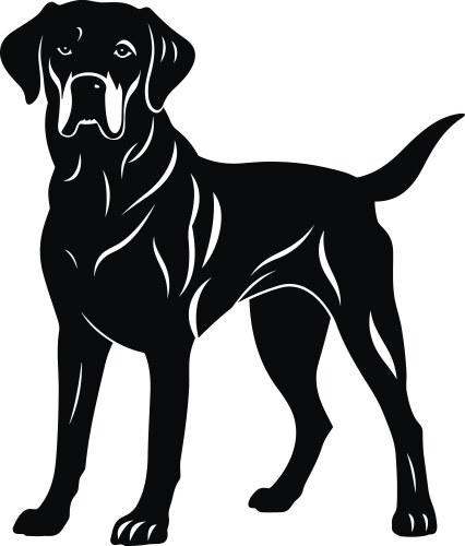 Labrador Head Silhouette Vector Images (over 2,700)