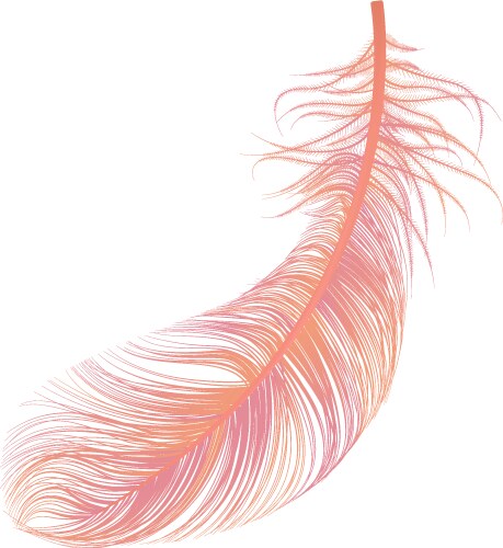 Feather Transparent Vector Images (over 2,800)